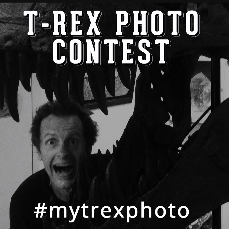 T-REX PHOTO CONTEST ON INSTAGRAM - Gifts from the Earth | Geologic