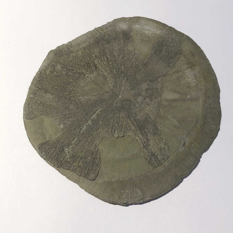Pyrite sun - Gifts from the Earth | Geologic