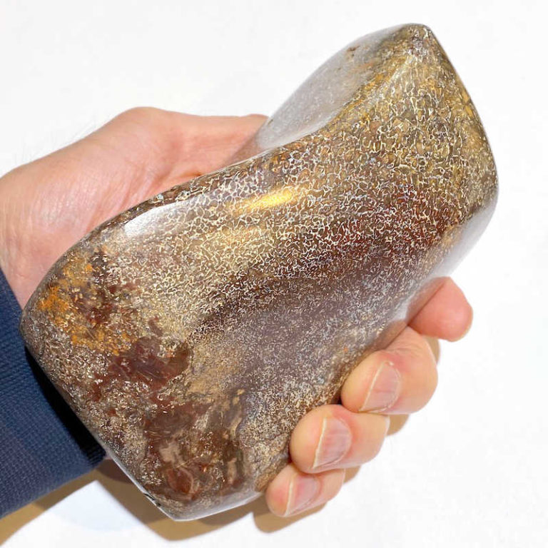 Atlasaurus Dinosaur Bone Marrow - Gifts from the Earth | Geologic