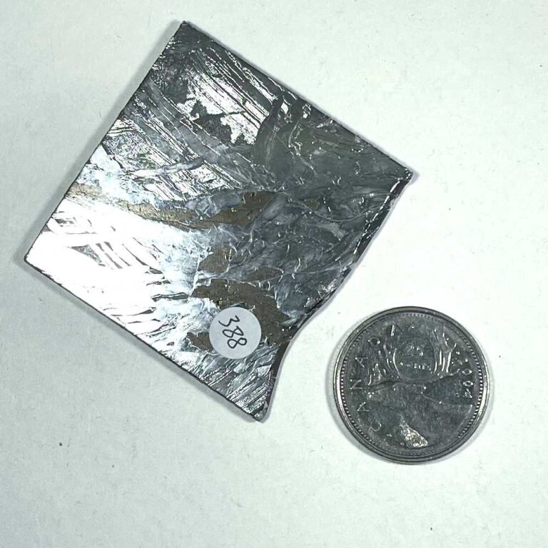 Seymchan Meteorite Slice - Gifts from the Earth | Geologic
